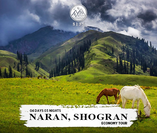 Naran Kaghan Tour Packages 2022 | Avail Best Naran Tours Now